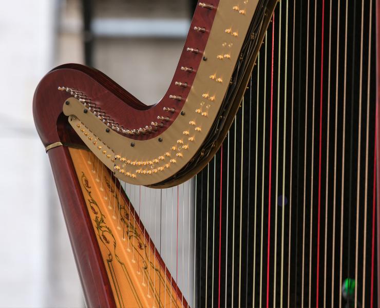 Harps For Sale | Remenyi House Of Music