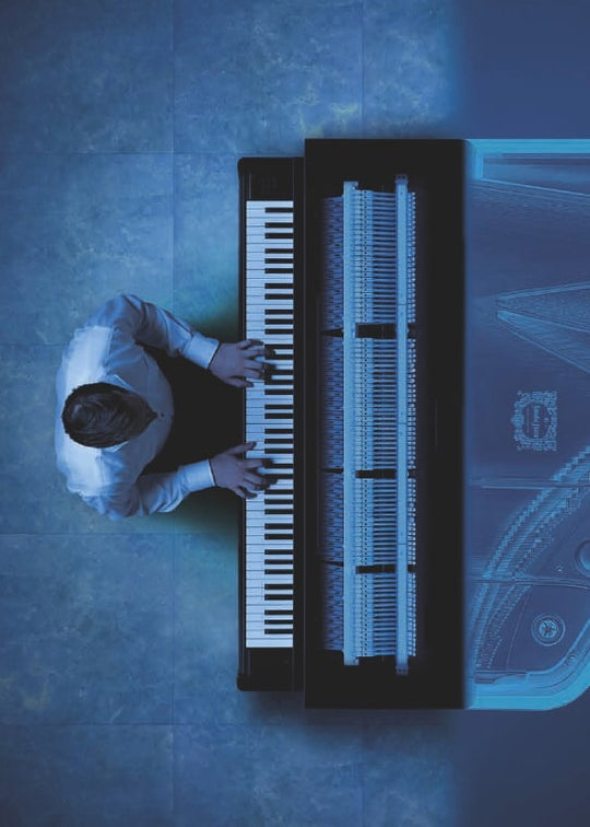 Musical Instruments & Sheet Music | Remenyi House Of Music – Remenyi ...